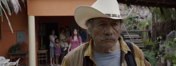 windows-on-the-world-banner – Petaluma Film Alliance